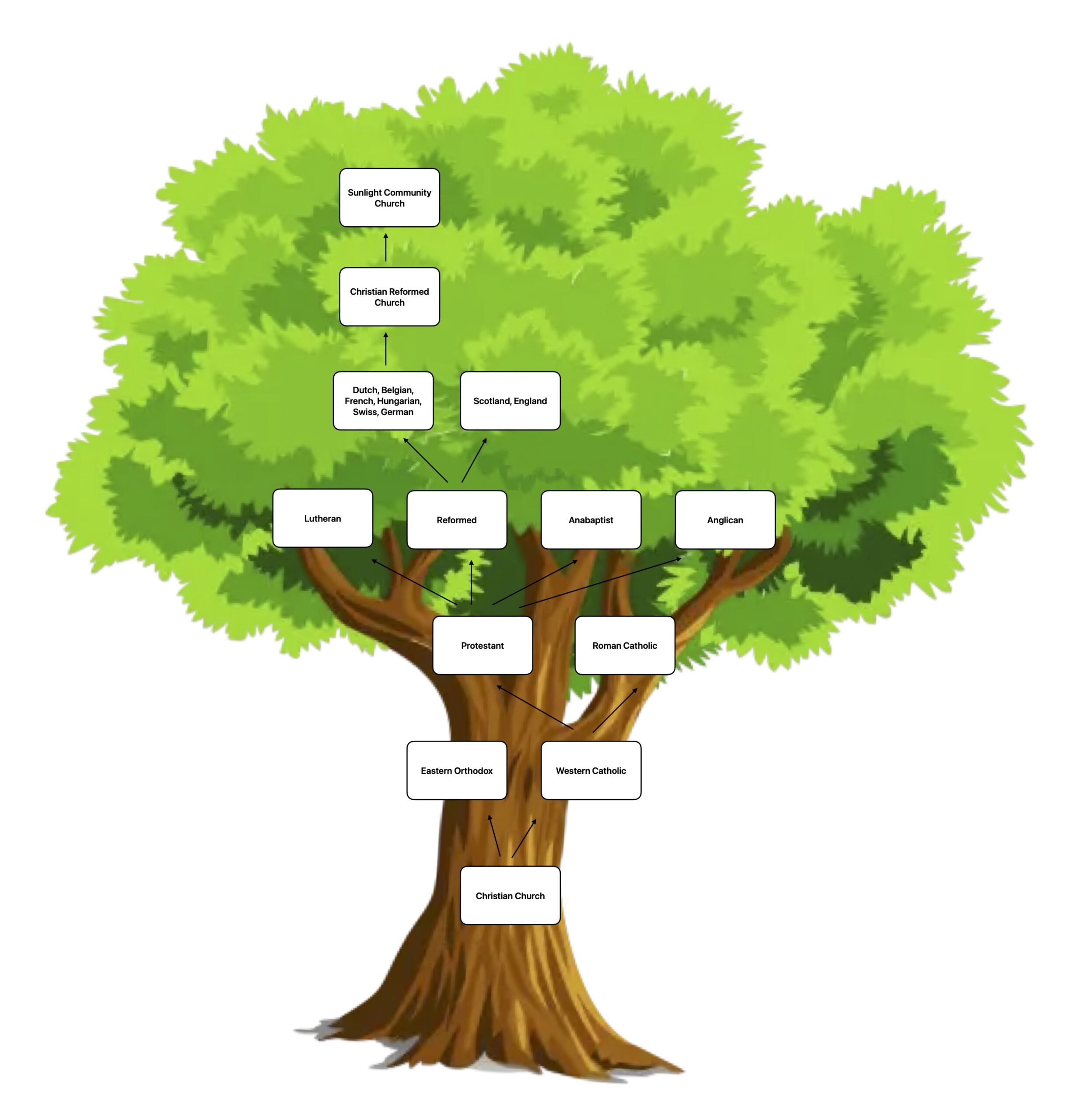 New Members – Sunlight Church